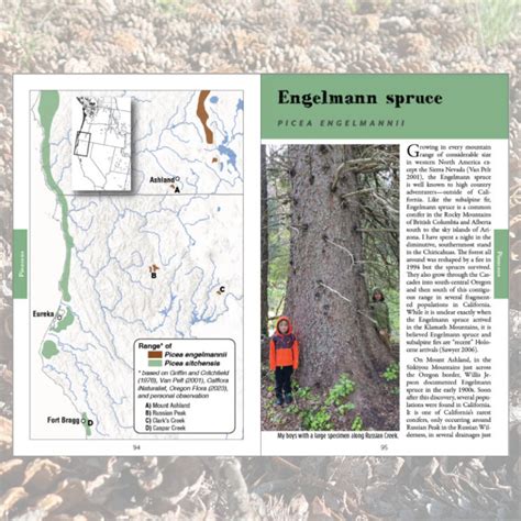 Conifer Country Second Edition Michael Kauffmann
