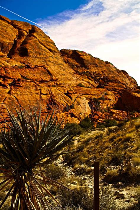 Red Rock Canyon State Park Features Scenic Desert Cliffs Buttes And