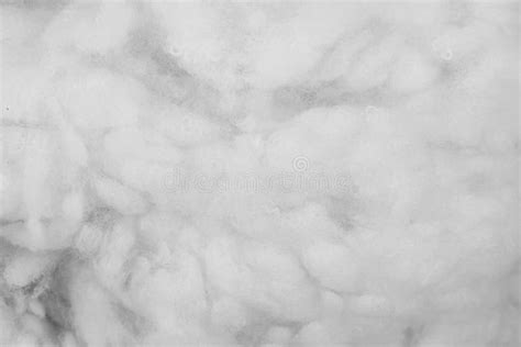 White Cotton Wadding Texture Background Stock Image Image Of Textile
