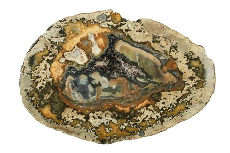 58 Colorful Polished Agatejasper Slice With Amethyst 250954 For