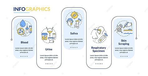 Lab Specimens Vector Infographic Template Instructions Infographic