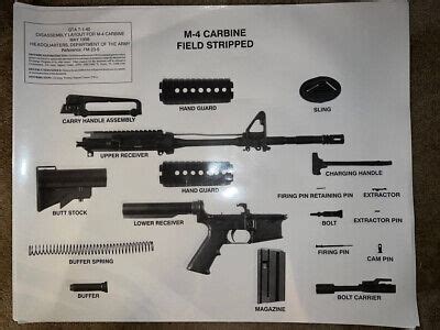 Us Army Mike Four Carbine Display Chart Disassembly Layout Original