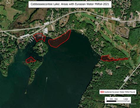 Dont Put Your Rod Away Yet