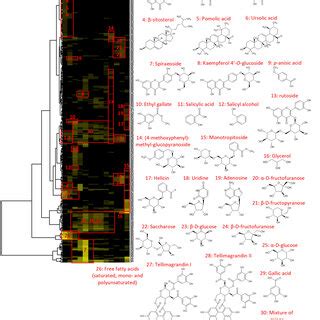 Iterative Cluster Analysis Using 13C NMR Resonance Signals From CPC