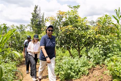 From Struggle To Success How A Seed And Irrigation Project Transformed
