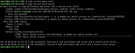 [infra] Aws Ec2 에 Route53 Elb Ssl Nginx 설정하기