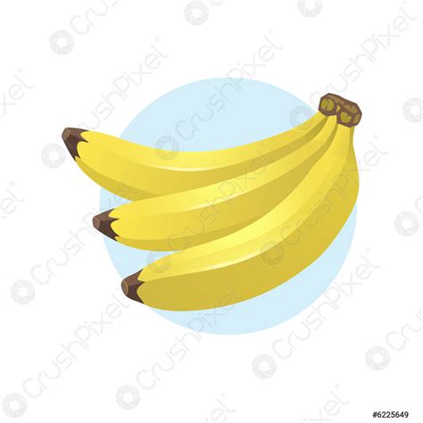 Banana Fruits Vector Illustration Stock Vector 6225649 Crushpixel