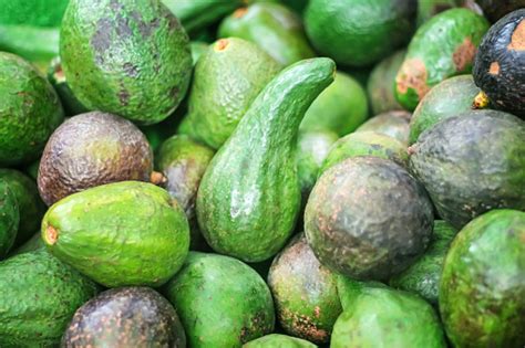 배경 Persea Americana에 신선한 아보카도 과일 그룹 과일에 대한 스톡 사진 및 기타 이미지 과일 구아카몰