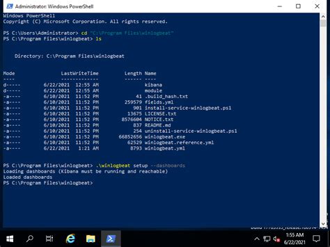 Centos Stream Elastic Stack Install Winlogbeat Server World
