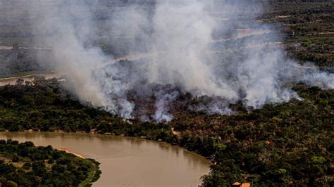 Imágenes Impactantes De Los Incendios En Pantanal Sudamérica