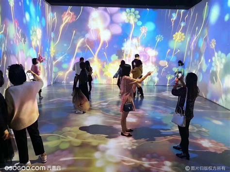 沉浸式人气互动投影展合作租赁资源 元素谷osogoo