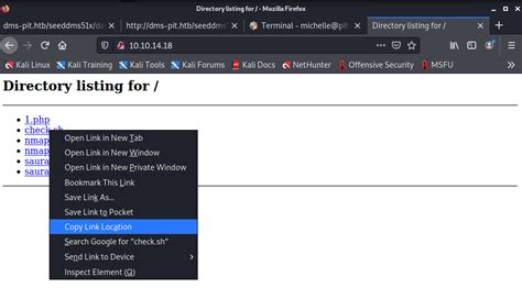 Pit Writeup Hack The Box Iot Lab Kiit