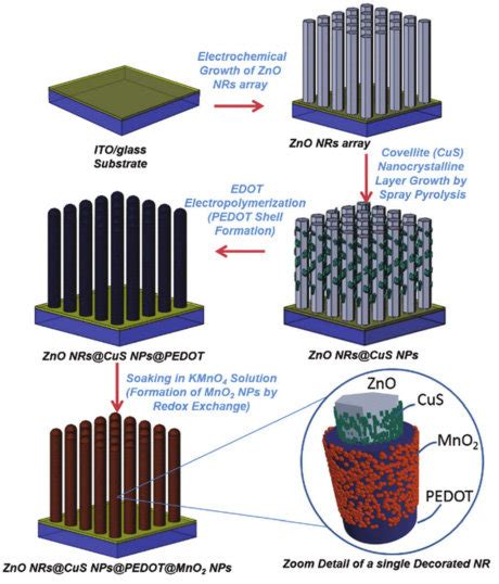 Schematic Illustration Of Formation Process Of Znonrscuspedotmno 2