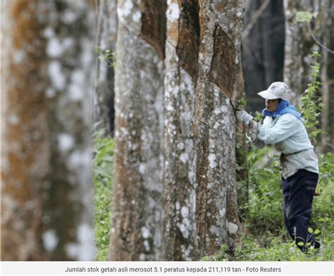 laman web rasmi kpk sawit malaysia s palm oil harvest gets boost