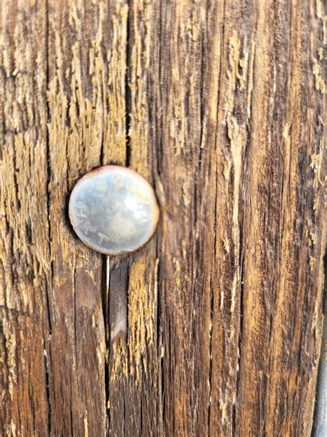 Never Forget Lily Grace Just Minutes Before The Doctors Disconnected Lily From Her Machines