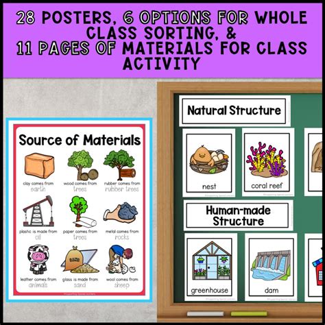 Structures And Materials Grade 1 Adapted Science Special Education