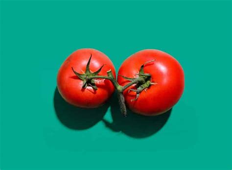 Guide To Using Complementary Colors In Photography