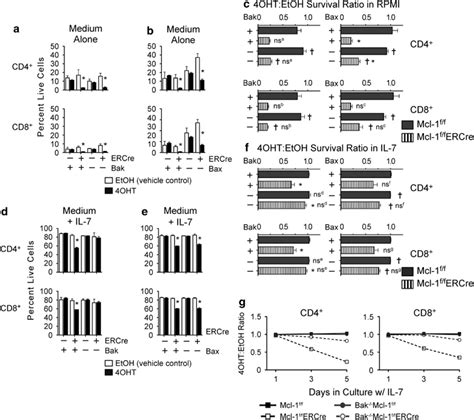 Bak−− But Not Bax−− Rescues The Survival Of Mcl 1 Deficient Cells In