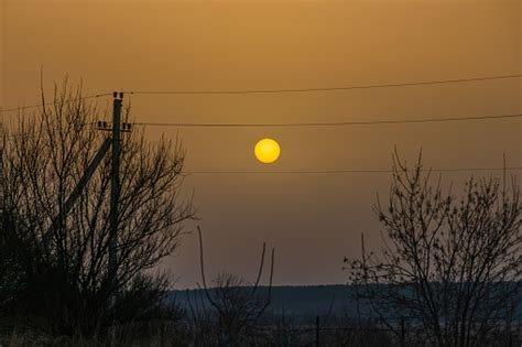 스모그 속의 일출 많은 먼지와 연기 안개 나무와 가공 전력선 0명에 대한 스톡 사진 및 기타 이미지 0명 기둥 나무 Istock