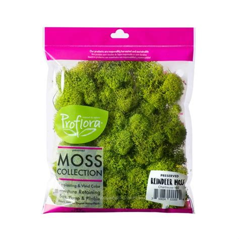 Proflora Preserved Reindeer Moss Chartreuse Green