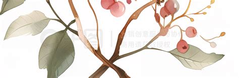 春季数字艺术 春季鸟类手绘插画极致细腻元素 AI平面元素免费下载 png格式 2784像素 编号69449241 千图网