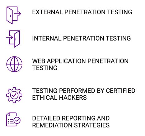 Secure It Penetration Testing Services Acronym Solutions