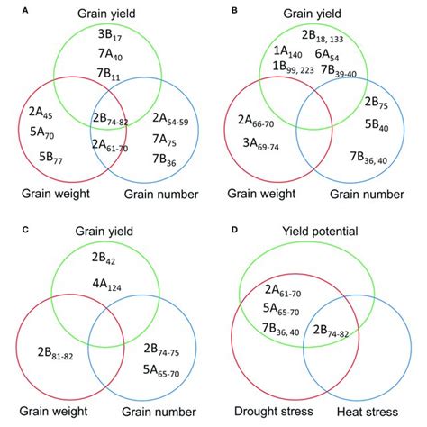 Comparison Of The Significant Marker Trait Associations Mtas For