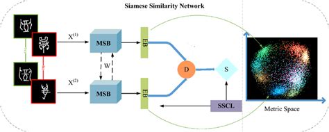 the structure of proposed ssn it mainly includes multi scale fusion