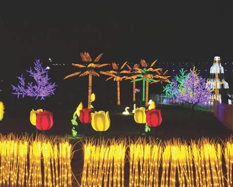 Unity Glow Garden Kevadiya Statue Of Unity Package