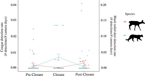 Detection Rates Detectionscamera Days Y‐axes Per Station With Data