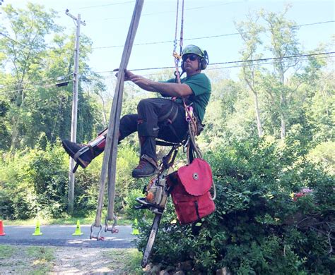 About Us Middlesex Tree