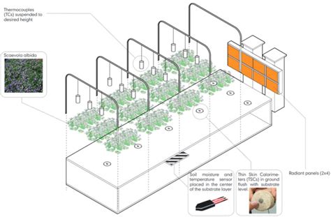 Exploded Axonometric Diagram Of The Experimental Setup Green Roof