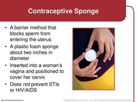 Chapter 23 Pregnancy Prevention Ppt Download