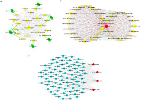 Transcriptional Regulatory Networks Associated With The Key Modules