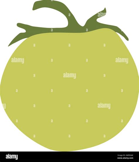 Green Tomato Vector Illustration Stock Vector Image And Art Alamy