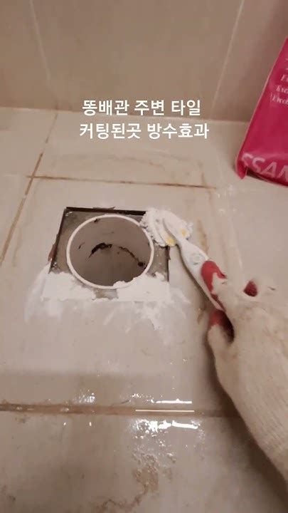 양변철거하고 재시공 탄성메지시공 똥배관주변 메지마감 원피스양변기철거하고 투피스양변기선치 양변기철거영상 양변기철거방법 양변기설치방법 양가이버출장공사 위생도기설치기사 욕실세팅