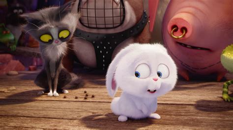 Image The Secret Life Of Pets Rabbit Wmoe Animal Jam Clans Wiki