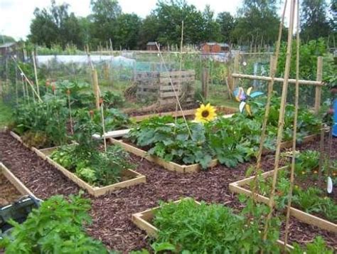 Voorbeeld Tuinen Met Kweekbakken 01 Moestuin Hekken Moestuin Tuin