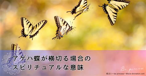 アゲハ蝶のスピリチュアルな意味とは？色別・状況別のメッセージの違いを解説