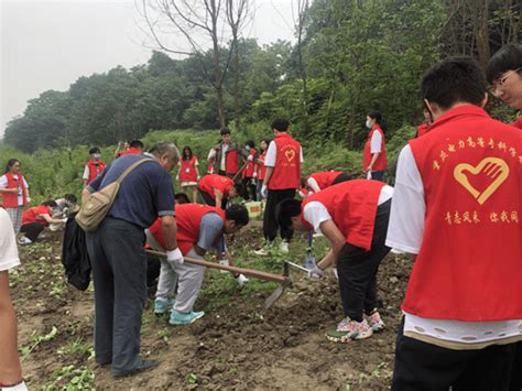 九龙坡黄桷坪街道：“保护饮水源，建立责任田”献礼建党100周年志愿服务活动九龙坡区