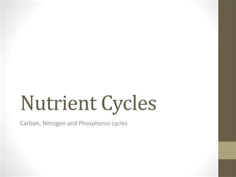 PPT Nutrient Cycles PowerPoint Presentation Free Download ID