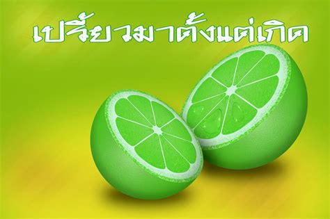 การบ้าน บวช 1 พรรษา Facebook