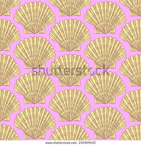 Sketch Sea Shell Vintage Style Vector 库存矢量图（免版税）250409650 Shutterstock