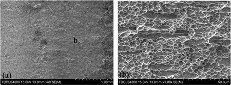 Scanning Electron Micrographs Of The Tensile Fracture Surface Of The Download Scientific