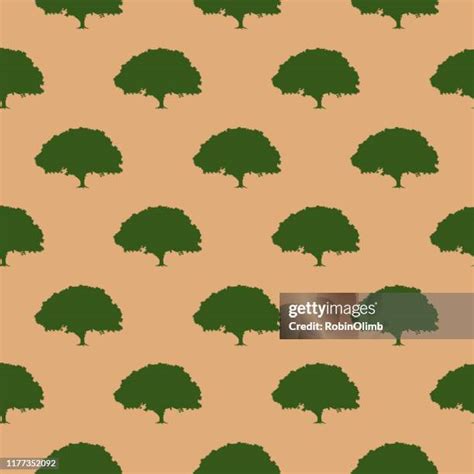 89 Tree Canopy Pattern High Res Illustrations Getty Images