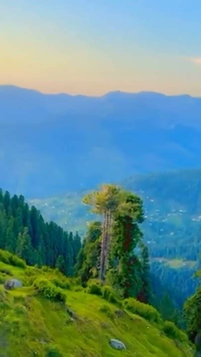 Toli Peer Ajk Youtube