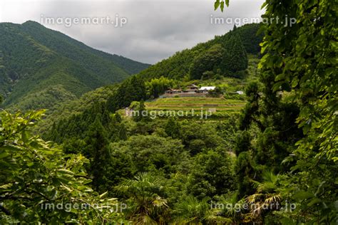 天空の棚田 和歌山県有田川町の写真素材 193360043 イメージマート