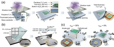 Advancing Stretchable Oled Displays Enhancing Wearable Tech And Health