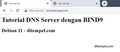 Konfigurasi Dns Server Bind9 Di Debian 11 Ditempel