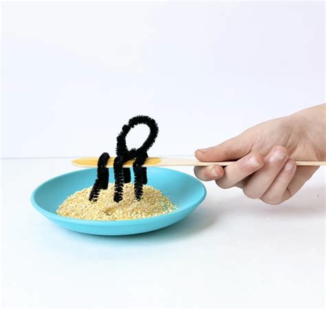 Bee Pollination Science Experiment — Play Street Museum